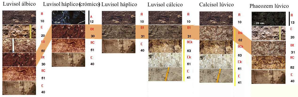Suelos con argico. Nota 7